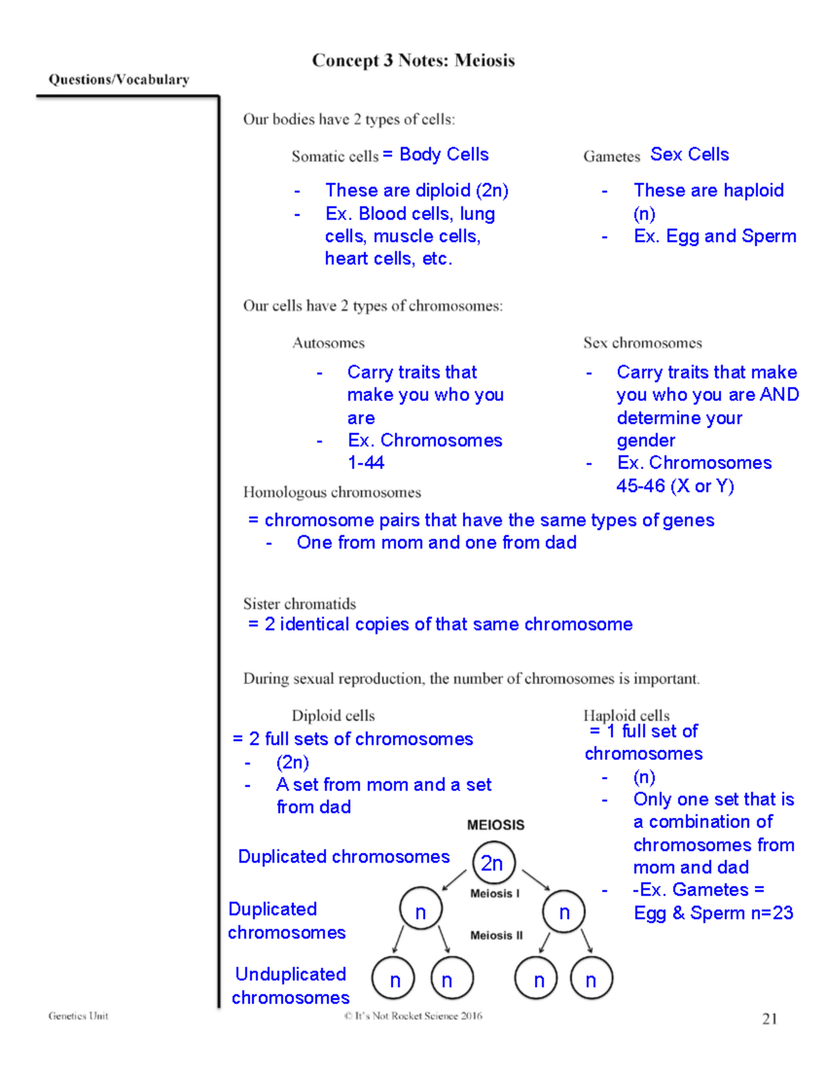 Biology Meiosis Notes - = chromosome pairs that have the same types of ...