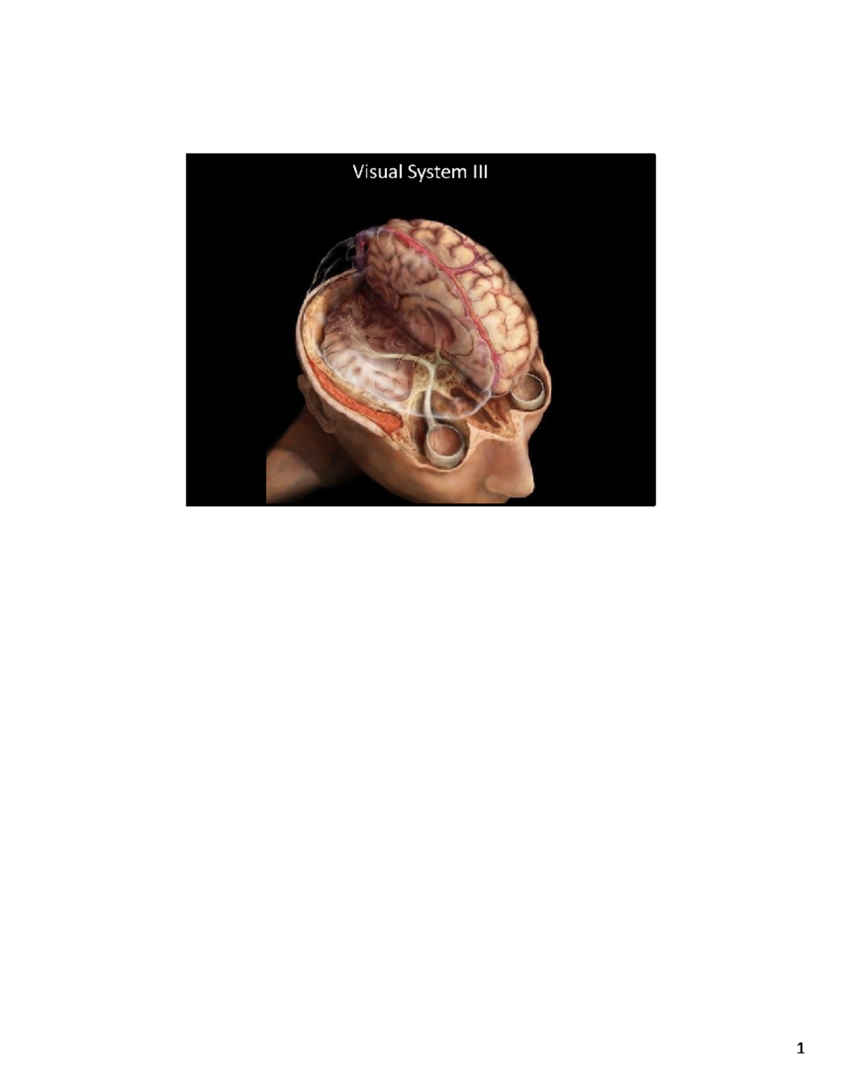 Visual System III lecture notes - The three non‐image forming pathways ...