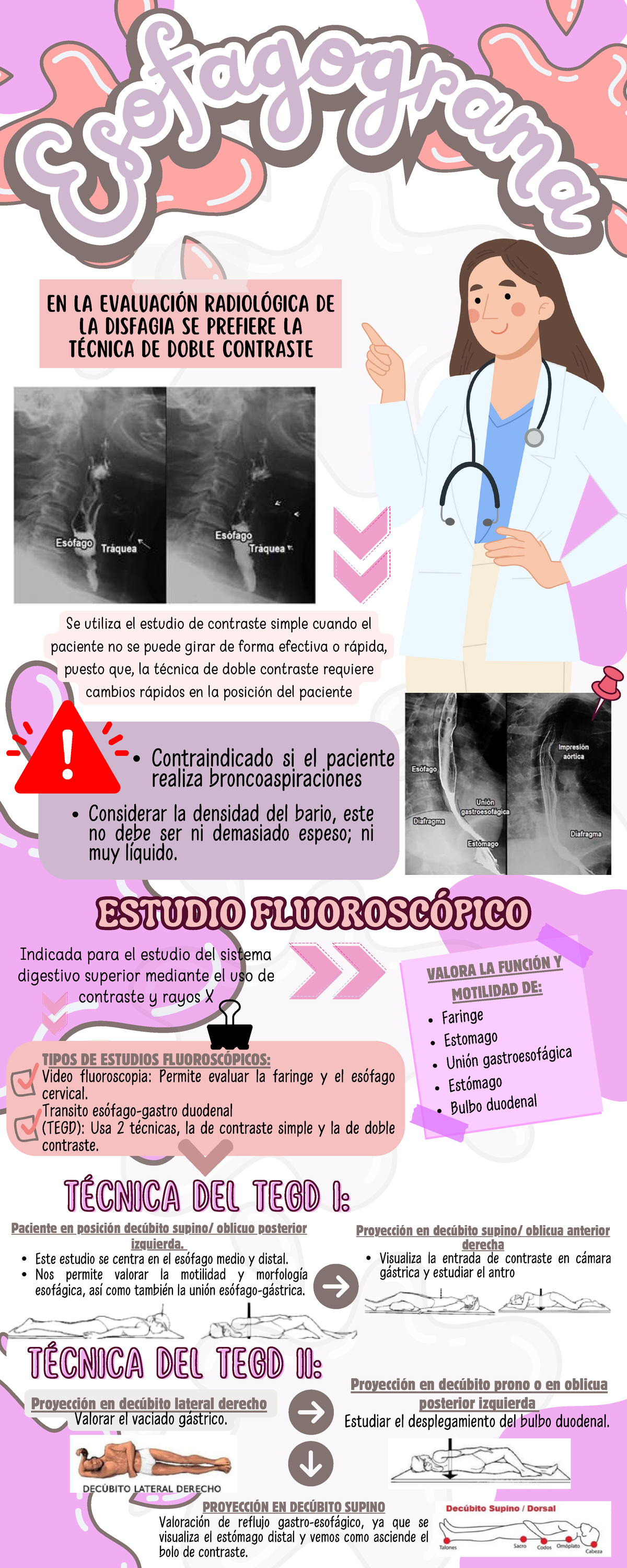 Infografia Esofagograma - Indicada para el estudio del sistema ...