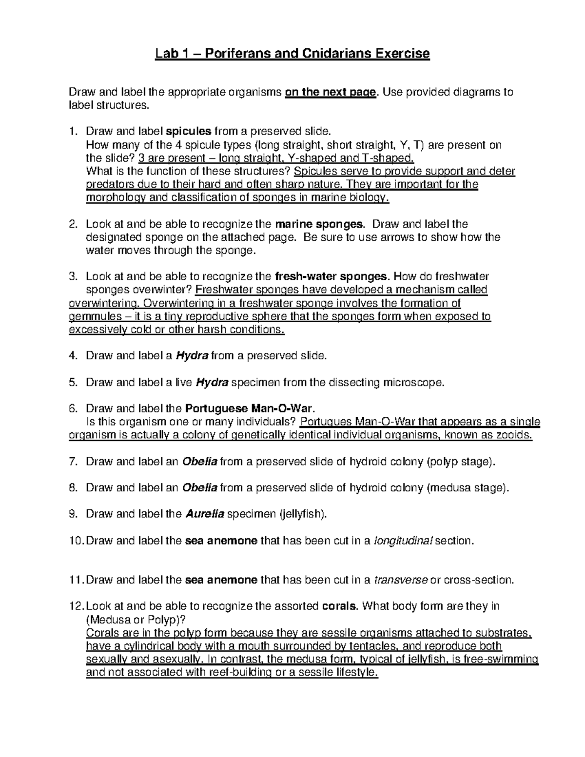 Porifera, Cnidaria Laboratory - Lab 1 – Poriferans and Cnidarians ...