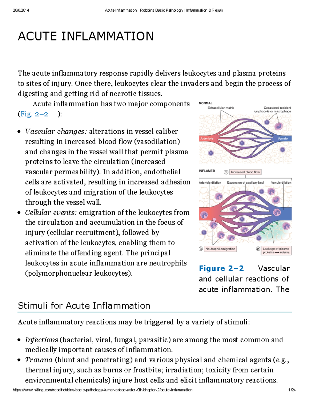 Acute inflammation - 2 - Acuty - ACUTE INFLAMMATION The acute ...