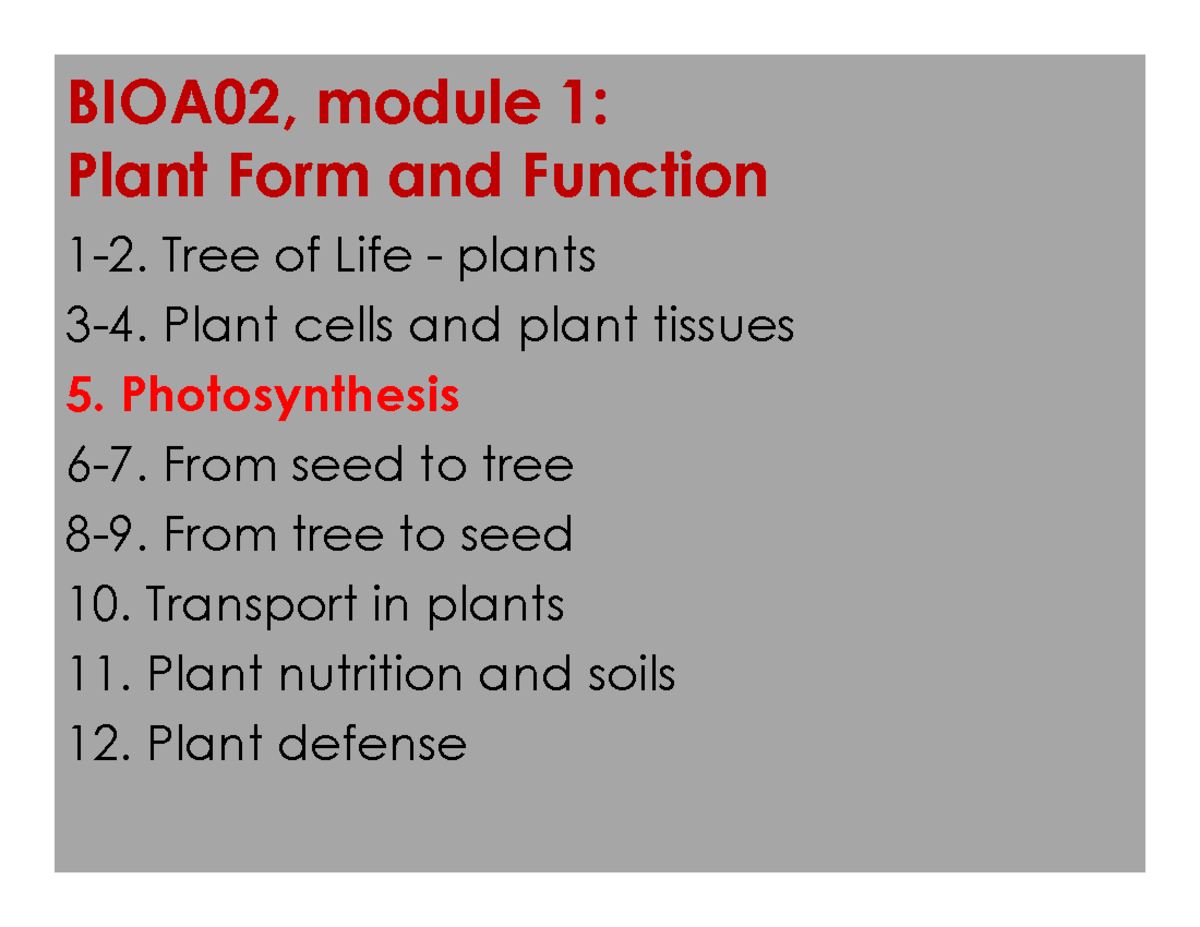 05 Photosynthesis sv - Lecture notes 5 - BIOA02, module 1: Plant Form ...