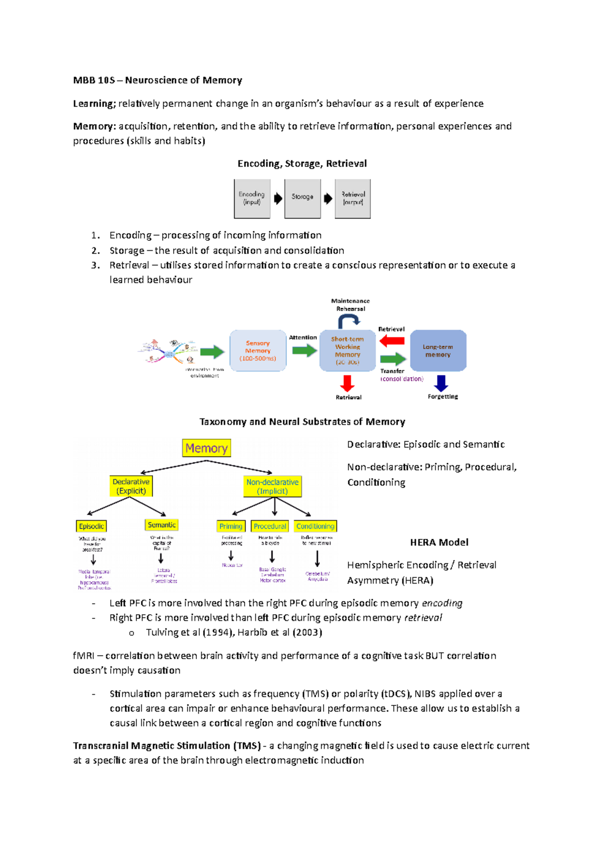 Neuroscience of Memory - MBB 10S – Neuroscience of Memory Learning; relatively permanent change ...