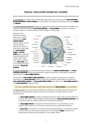 TEMA 8 - Pares Craneales Y VÍAS Sensitivas Especiales - Warning: TT: undefined function: 32 TEMA ...