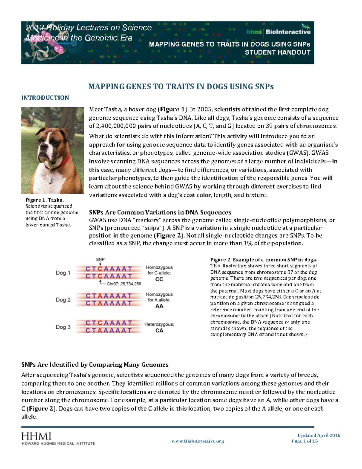 Case Study - GWAS in dogs - pages 1-8 - Updatedठ⃚Aprilठ⃚2016ठ⃚ MAPPING ...