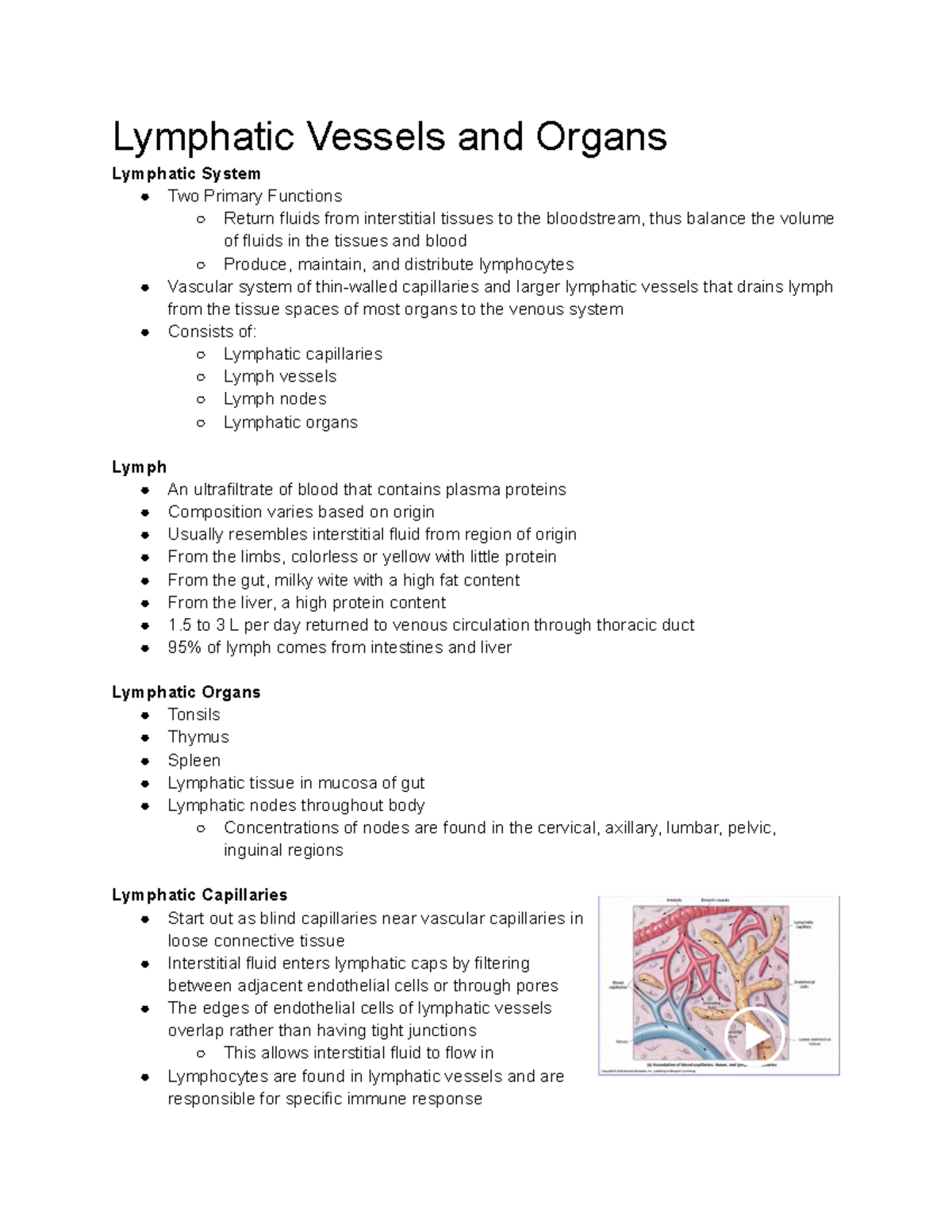 W12 Lymphatic Vessels and Organs - Lymphatic Vessels and Organs ...