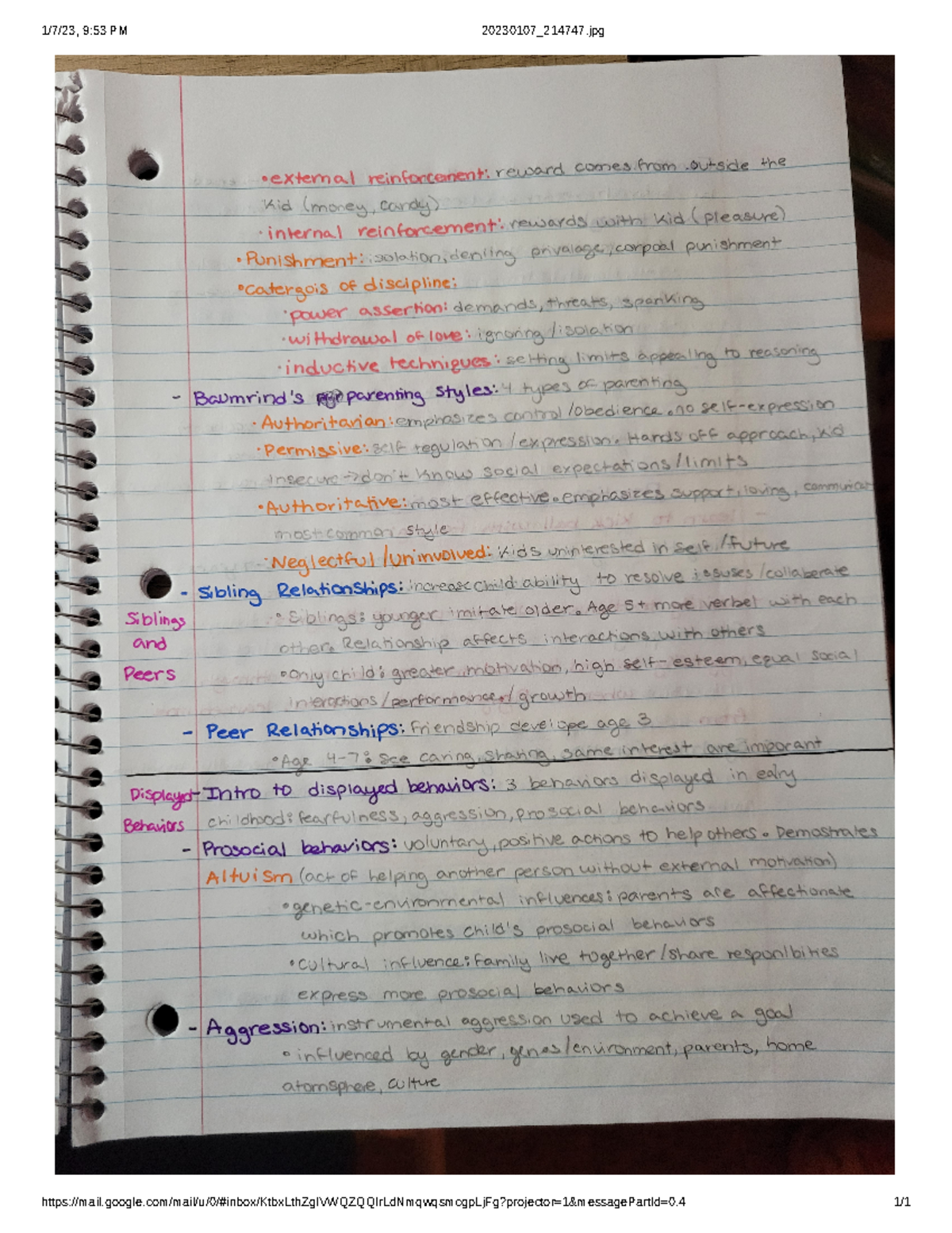 Unit 4 part 4 - week four, early childhood with R. Lookadoo - PSY 2305 ...