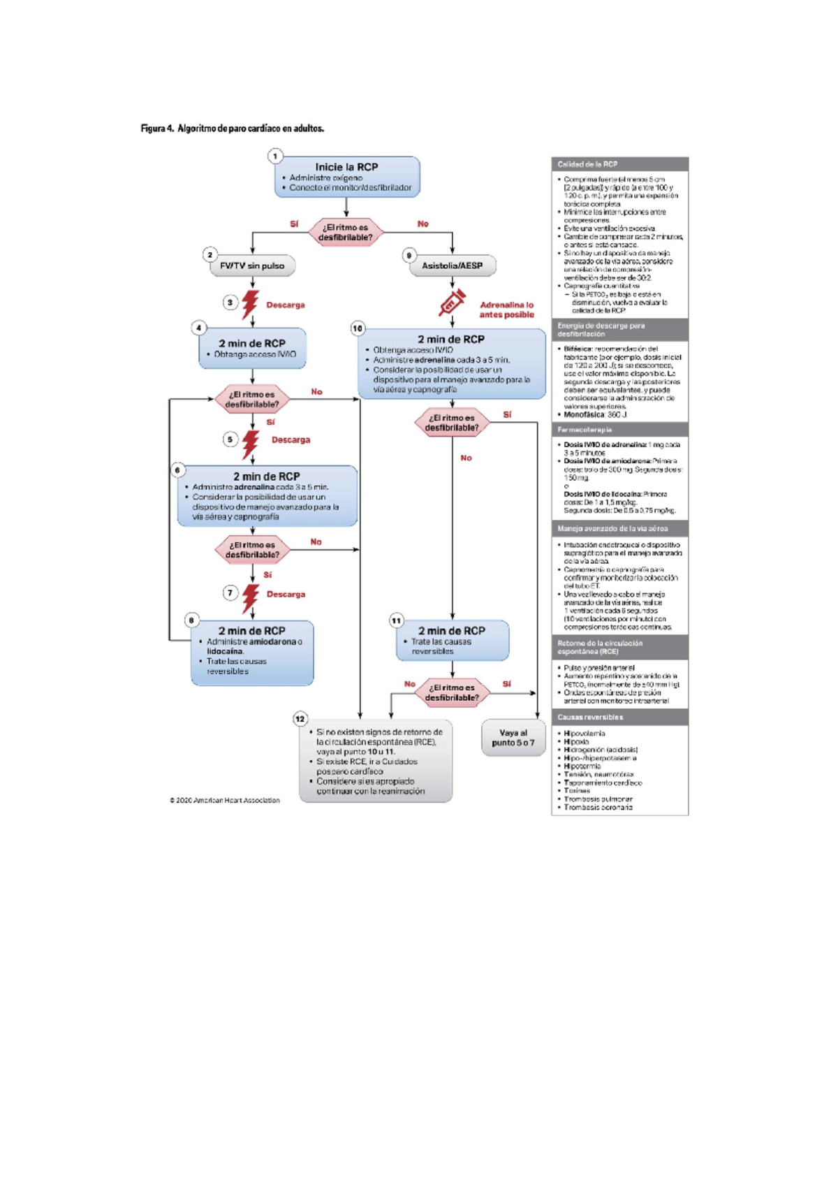 Algorítmos - ALGORITMO - Medicina familiar - Studocu