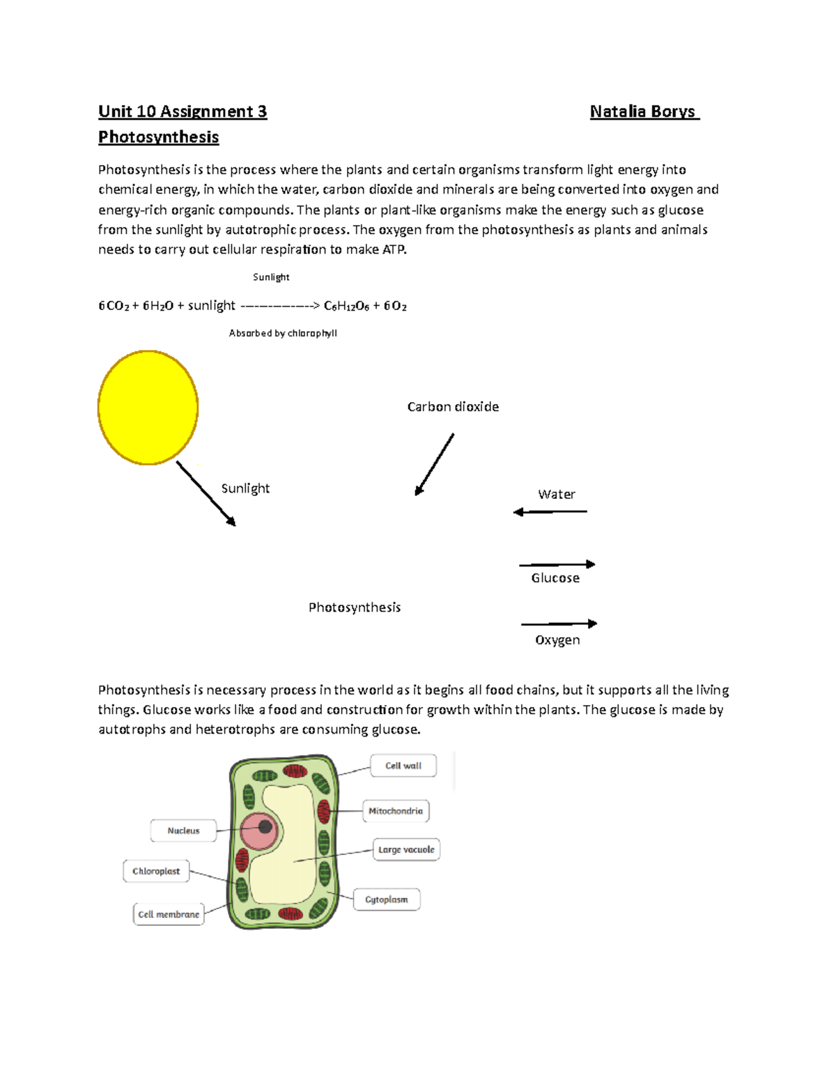 Unit 10 Assignment 3 - applied science dissertation - Unit 10 ...