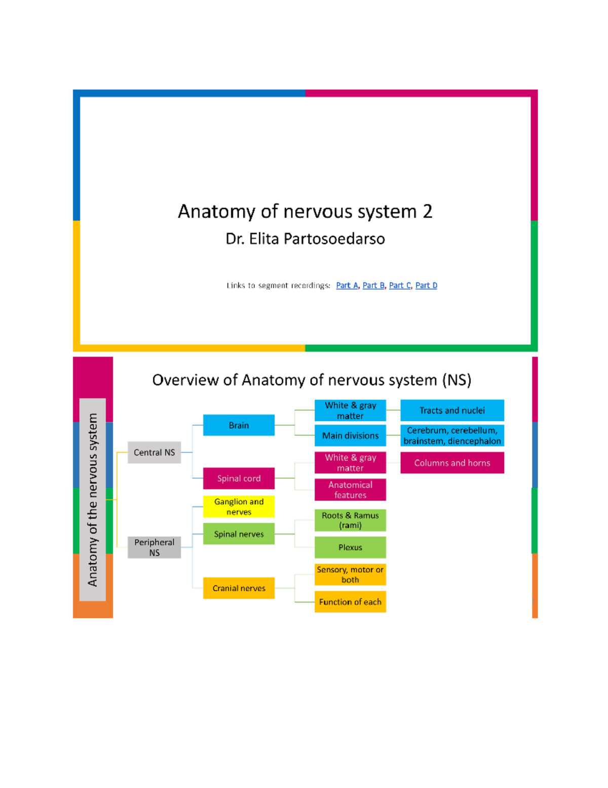 Lecture 17 Anatomy of The Nervous System 2 - HLSC1700 - Studocu