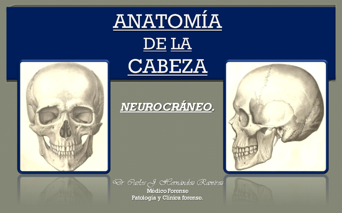 4. Unidad II - Cabeza (Neurocráneo) - Dr. Carlos J. Hernández Ramírez ...
