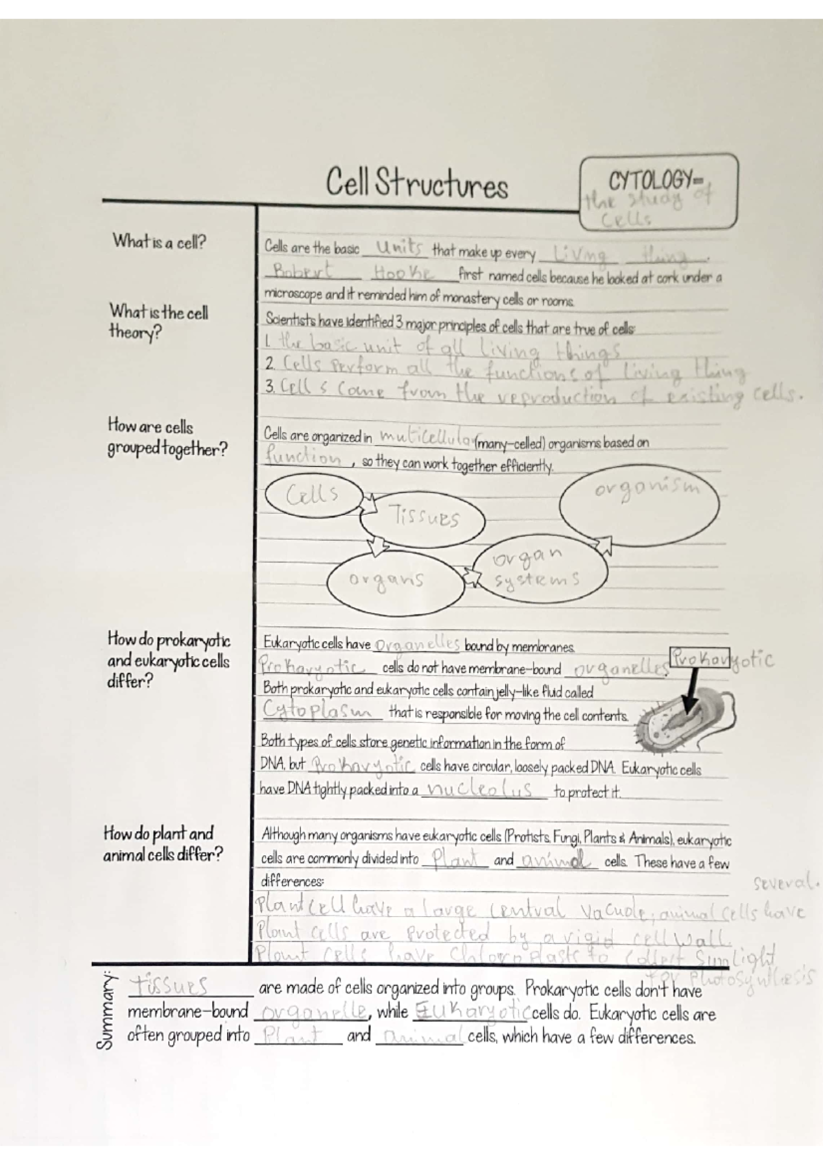 cell structures notes - BIO 265 - Studocu