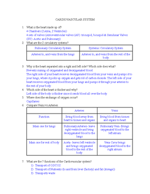 Cardiovascular system review - Cardiovascular System Circulatory System ...