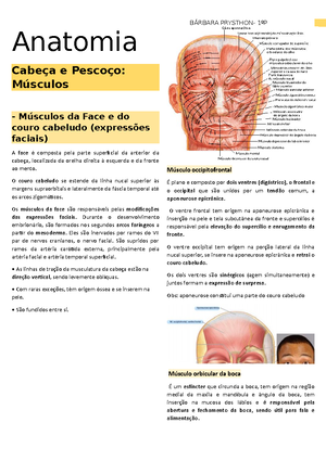 Cavidade ORAL - Anatomia boca - CAVIDADE ORAL Vestíbulo da boca: espaço ...