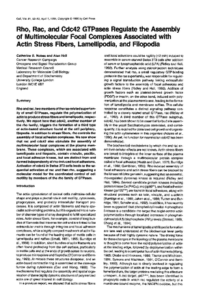 Stuco 3 - Catalyst and Enzymes lab worksheet - Biggie AP Bio Gateway ...