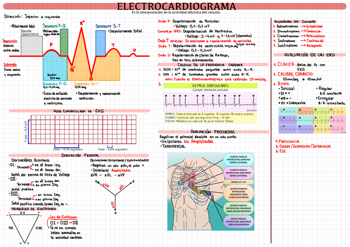 Ekg - Resumen de ekg - ELECTROCARDIOGRAMA Es la interpretación de la ...