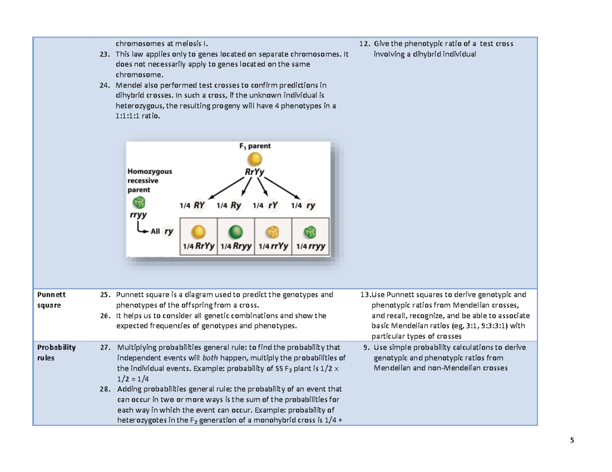 BIO 101 Learning Outcomes-41-45 - chromosomes at meiosis I. This law ...