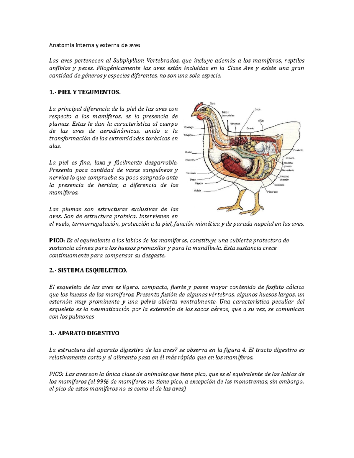 Documento (1)aves - Yeyejehe - Anatomía interna y externa de aves Las aves pertenecen al ...