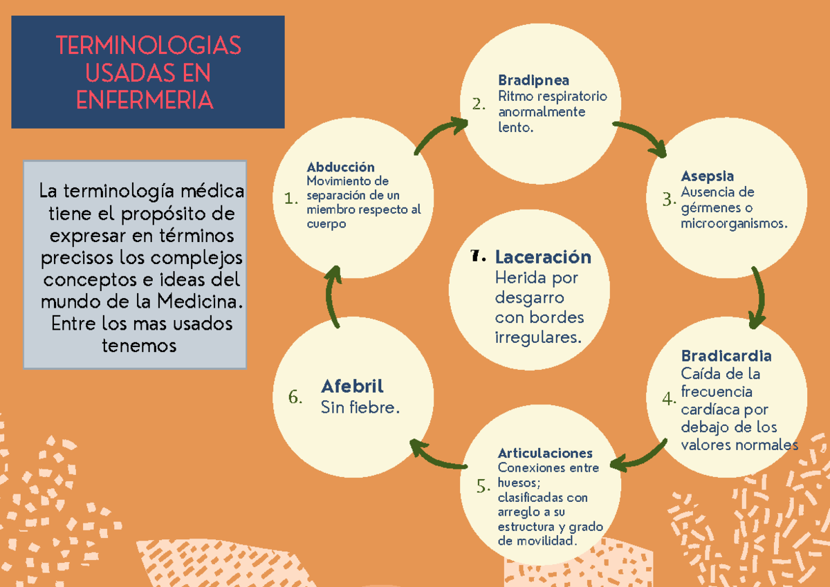 Terminologias - 1. 2. 3. 4. 5. 6. Afebril Sin fiebre. Abducción ...