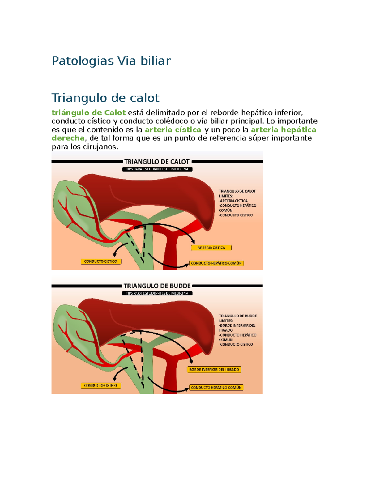 Resumen via biliar patologias - Patologias Via biliar Triangulo de ...