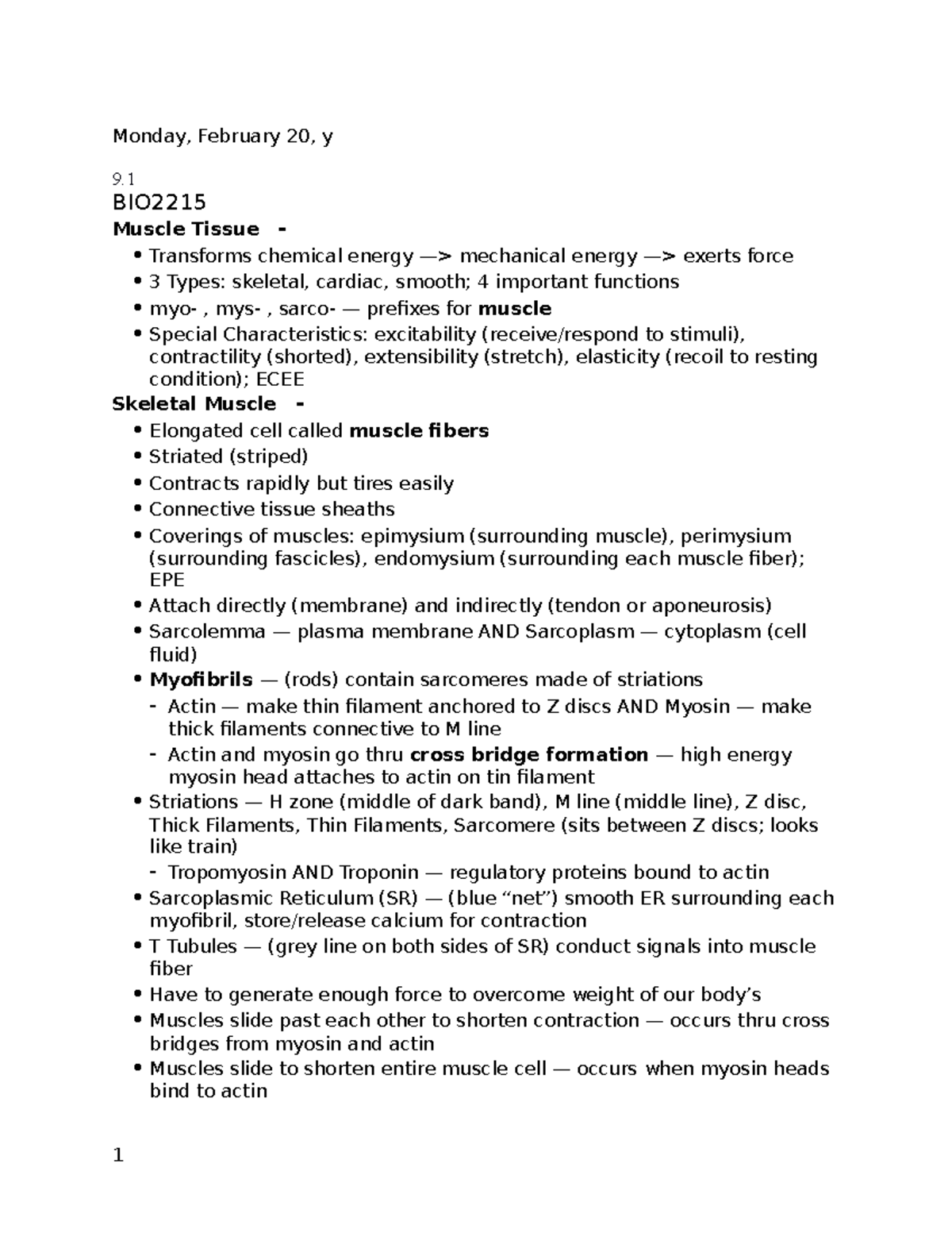 Chapter 9: Muscular System - Monday, February 20, y 9. BIO Muscle ...