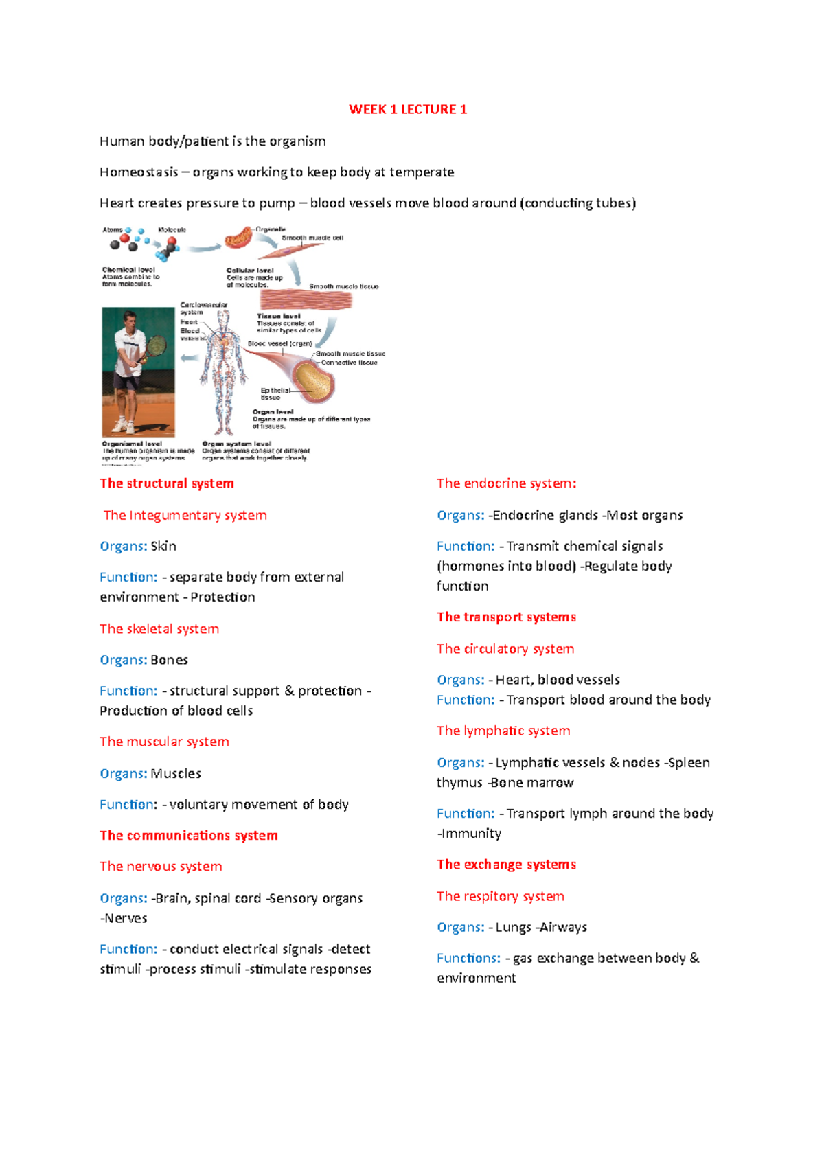 BM WEEK 1 Lecture Notes - 1111111 - WEEK 1 LECTURE 1 Human body/patient ...