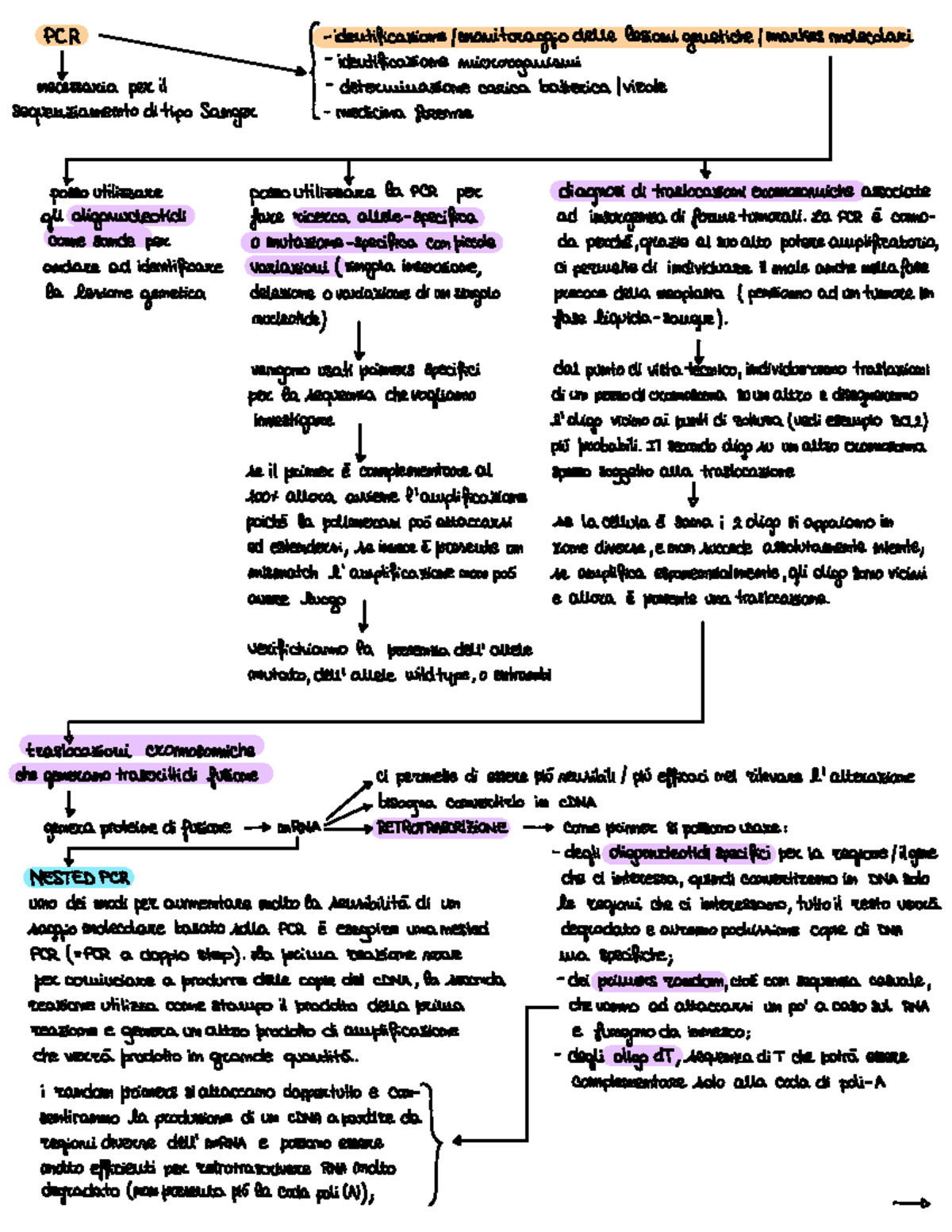 Schema sugli usi della PCR - Warning: Error during font loading: XMLHttpRequest is not defined ...