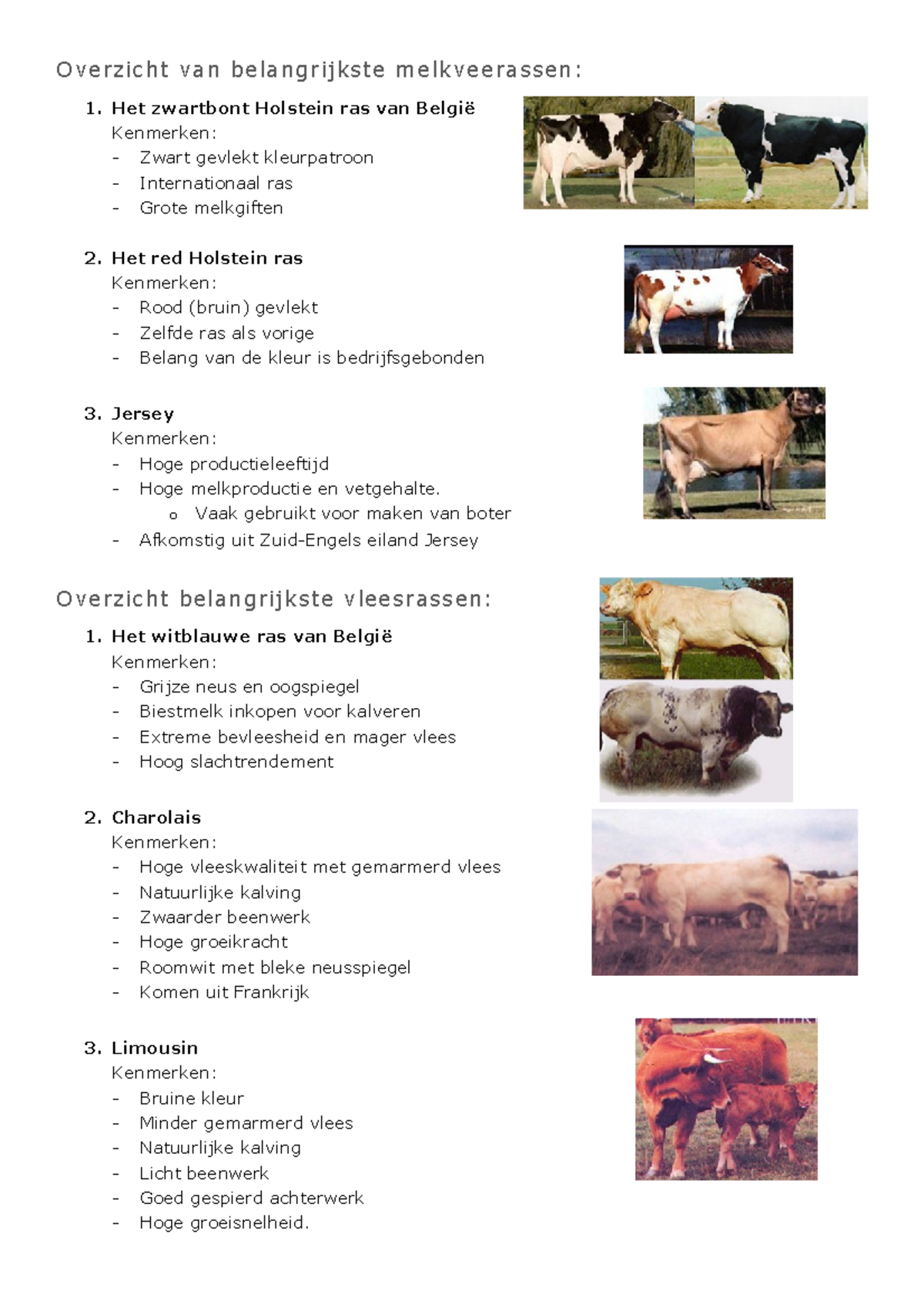 Rundrassen en varkensrassen - Overzicht van belangrijkste melkveerassen ...