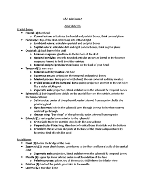 Anatomy and Physiology Chapter 19 blood continued - Anatomy and ...
