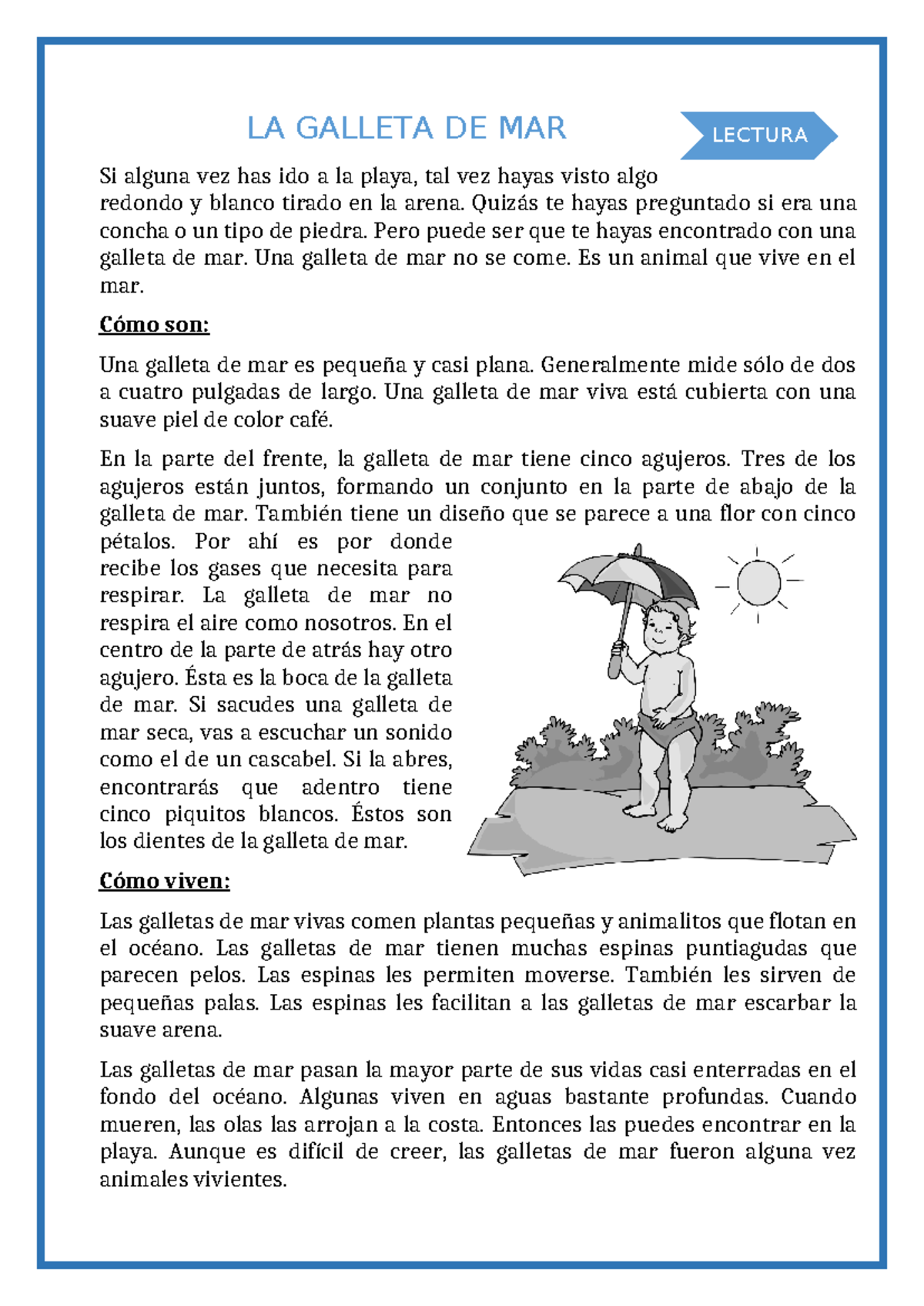 Comprensión Lectora - LA GALLETA DE MAR Si alguna vez has ido a la ...