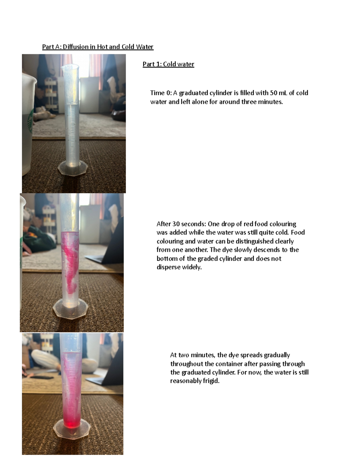 Lab 5: Diffusion - Part A: Diffusion in Hot and Cold Water Part 1: Cold ...