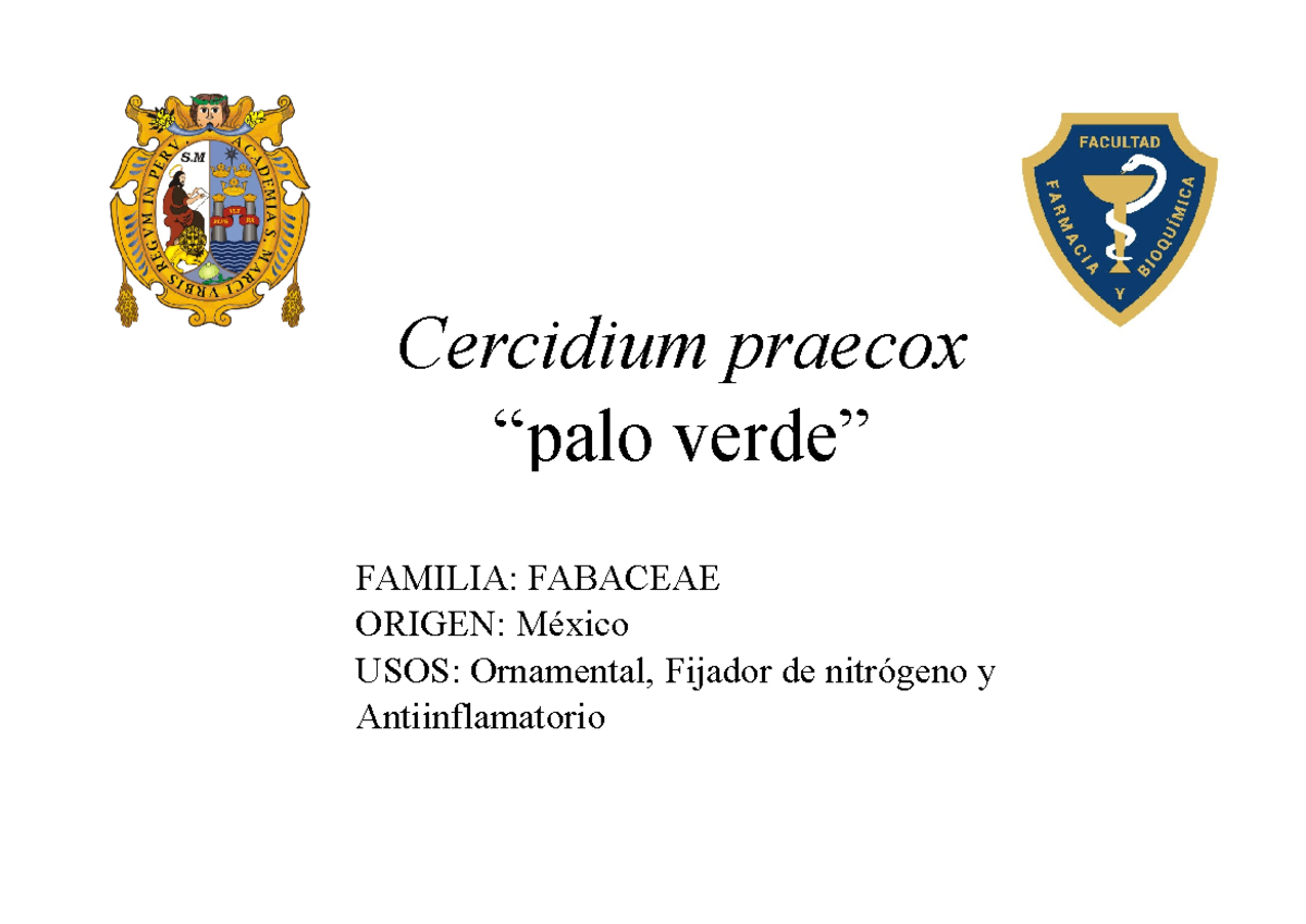 Cartel - Botánica General - Cercidium praecox “palo verde” FAMILIA ...