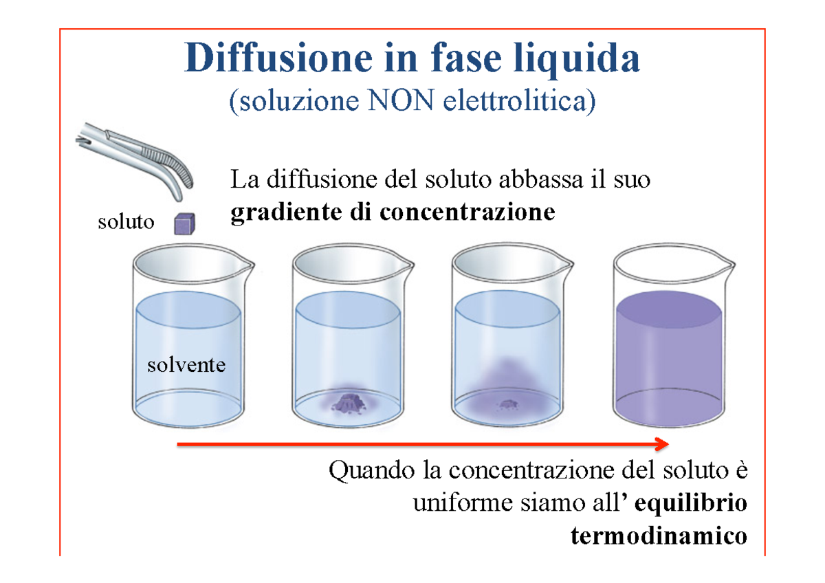 Trasp Di Membrana - Warning: Error during font loading: XMLHttpRequest is not defined Warning ...