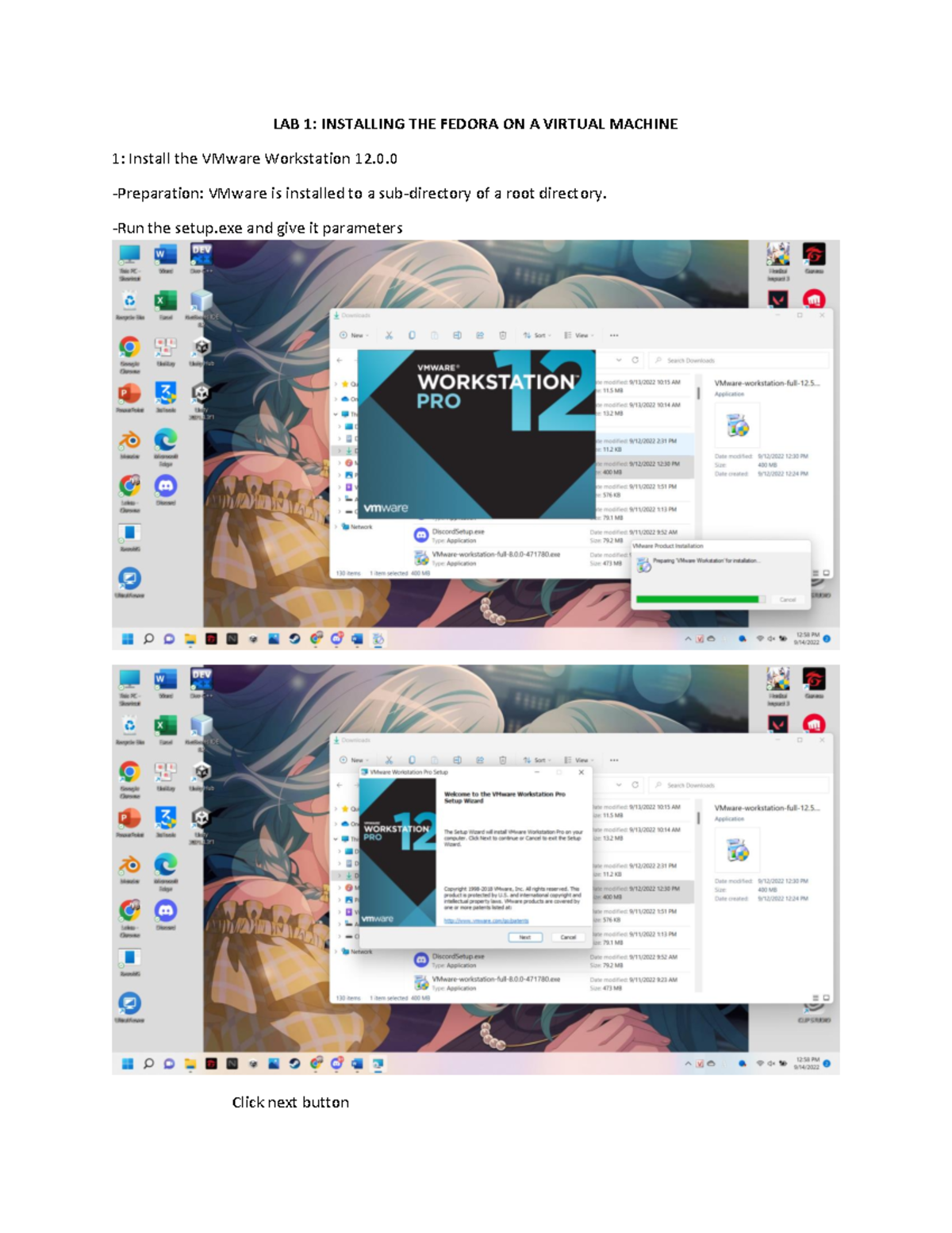Lab1 - EWQ - 1: Install the VMware Workstation 12-Preparation: VMware ...