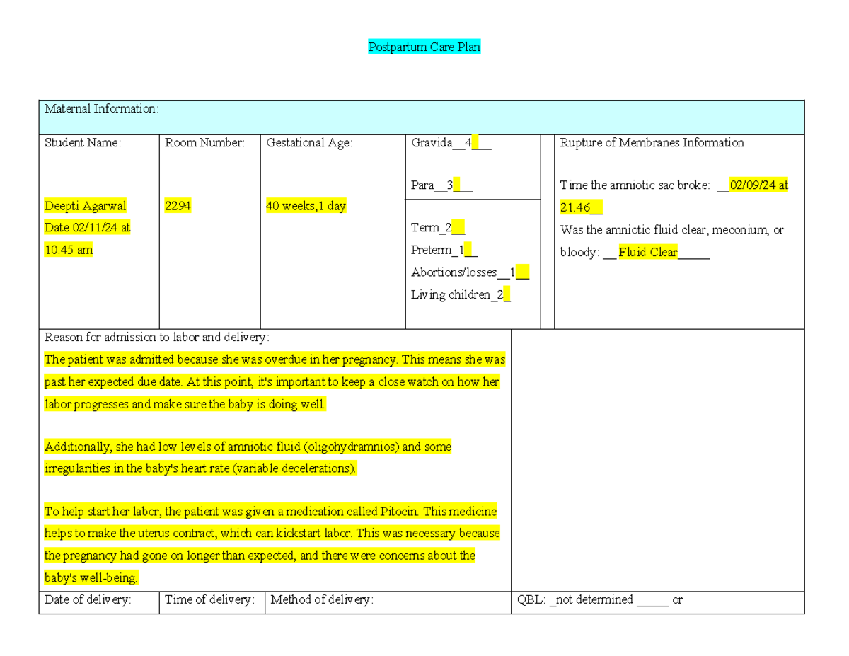 PP OB Care Plan - Postpartum Care Plan Maternal Information: Student ...