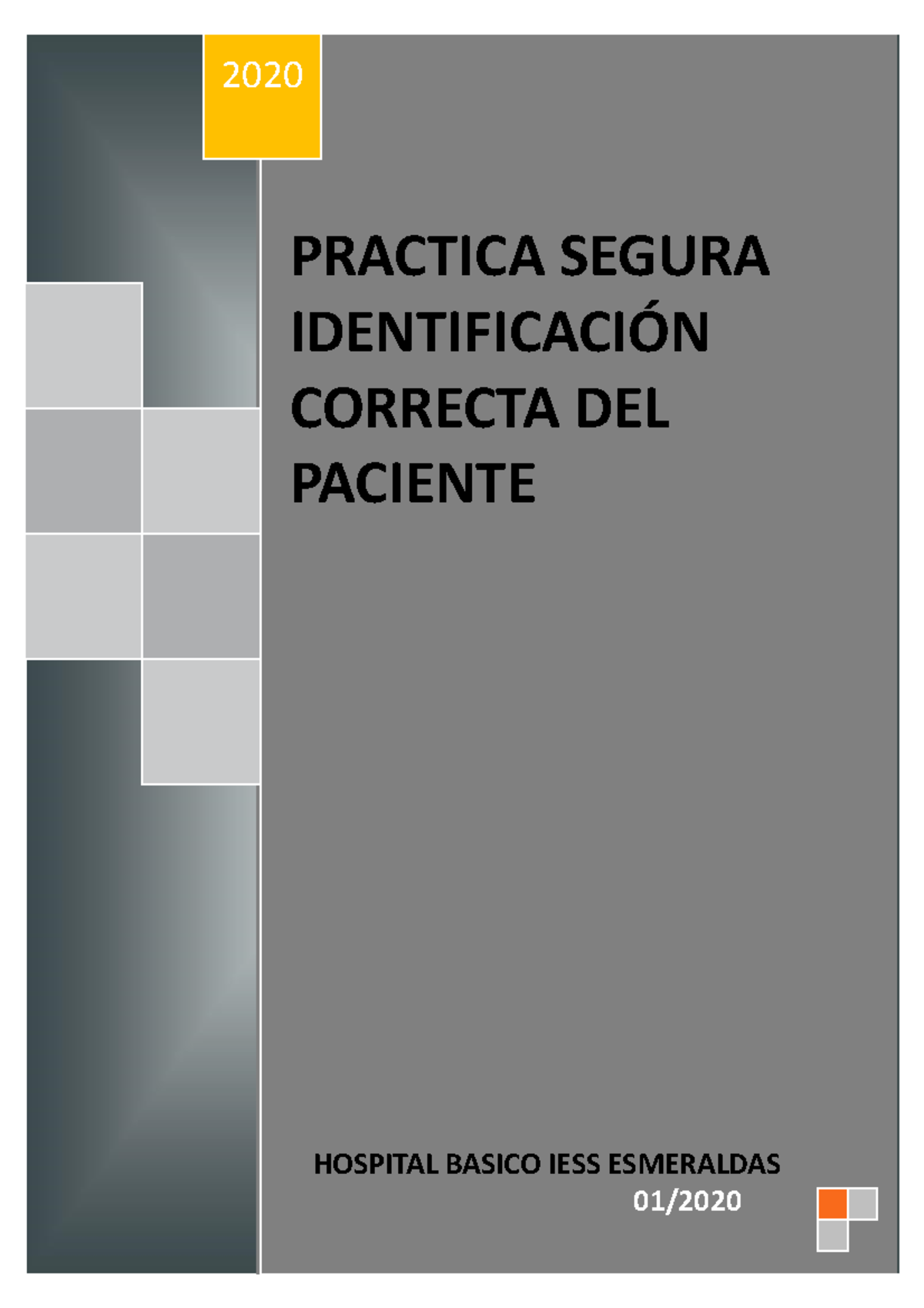 Practica segura Identificacion Correcta DEL Paciente - HOSPITAL BÁSICO ...