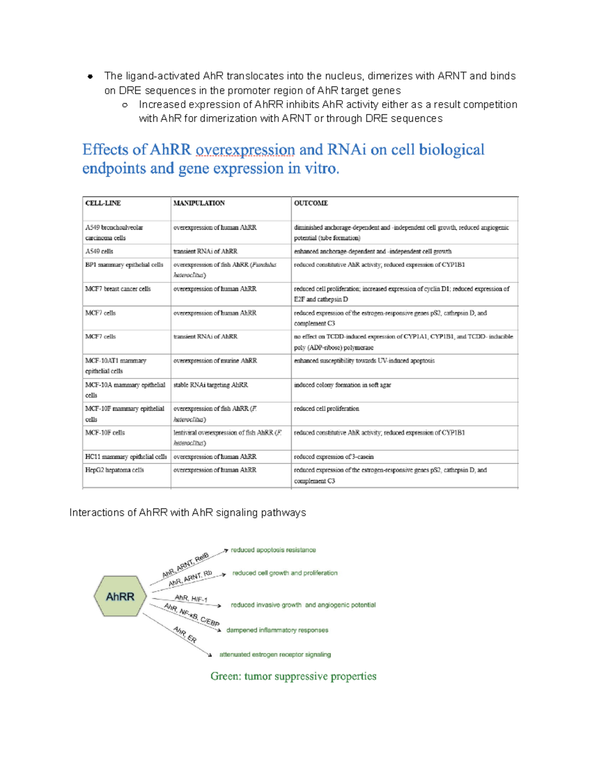 Med Gen Powerpoint 7 Epigenetics Part 11 - The ligand-activated AhR ...