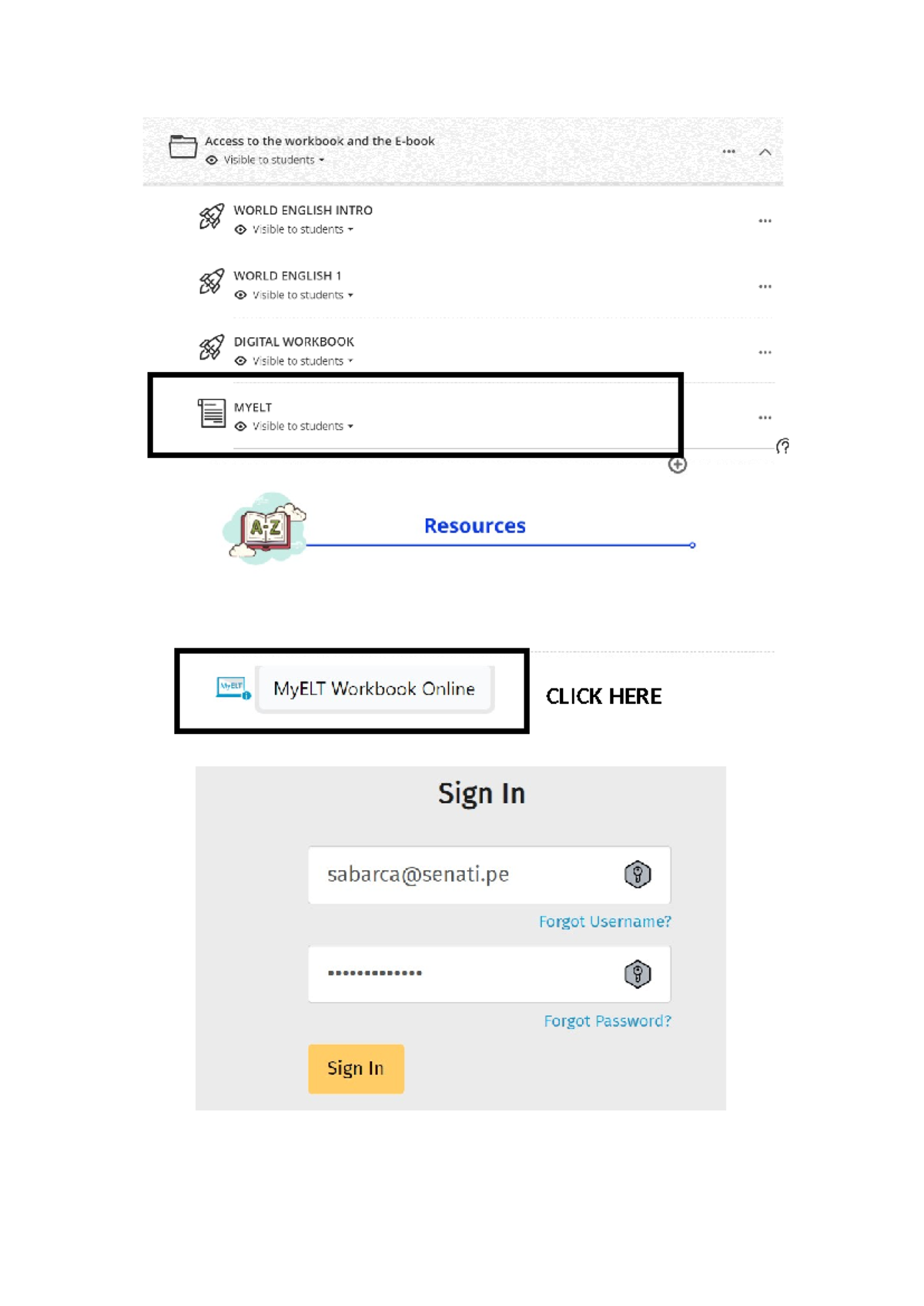 Myelt Access - xdfffff - Access to the workbook and the Visible to ...