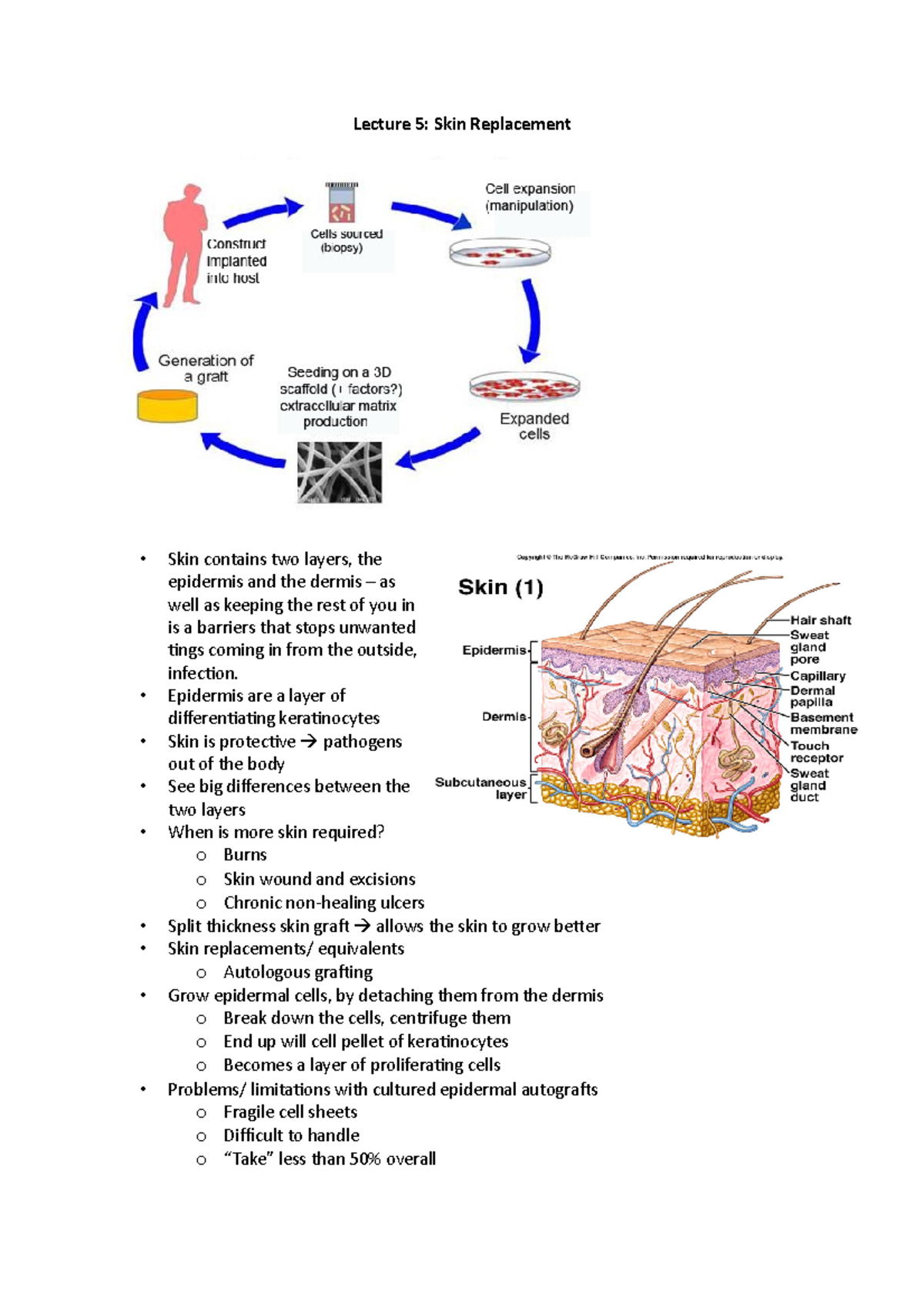 Tissue Engineering L5 - Lecture notes 5 - Lecture 5: Skin Replacement ...