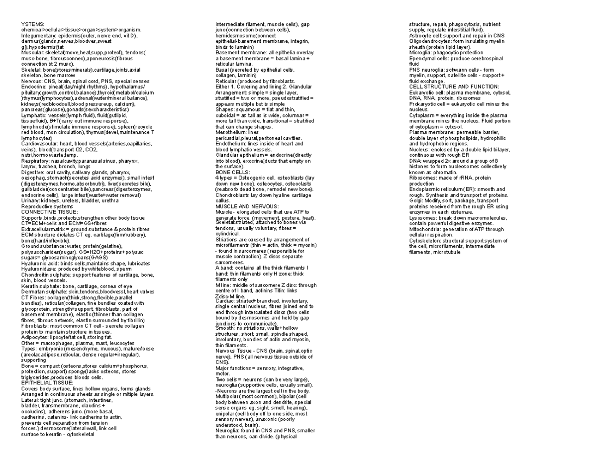 Ystems - Prep/ - YSTEMS: chemical>cellular>tissue>organ>system>organism ...