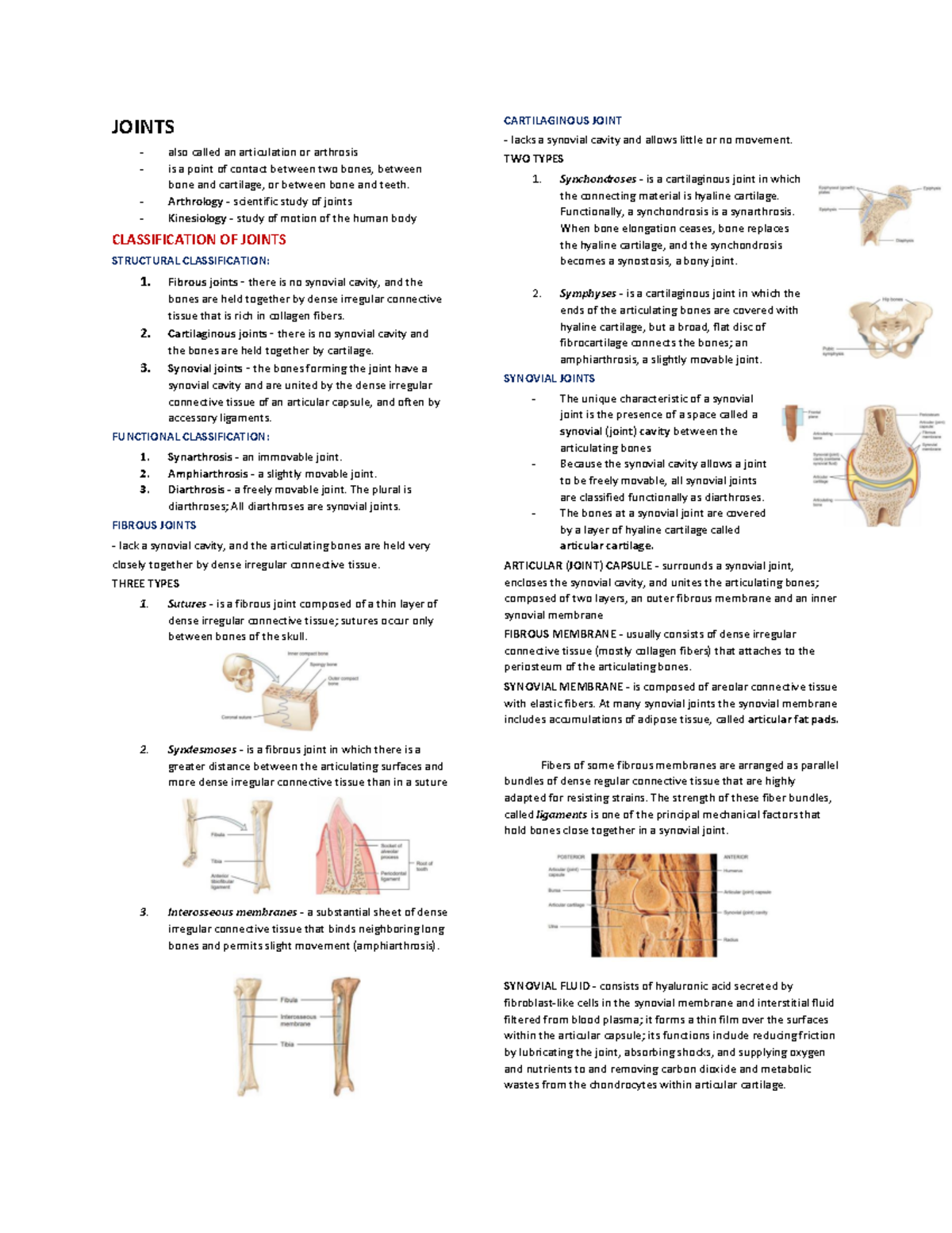 (W9) Joints - ANAPJY - JOINTS also called an articulation or arthrosis ...