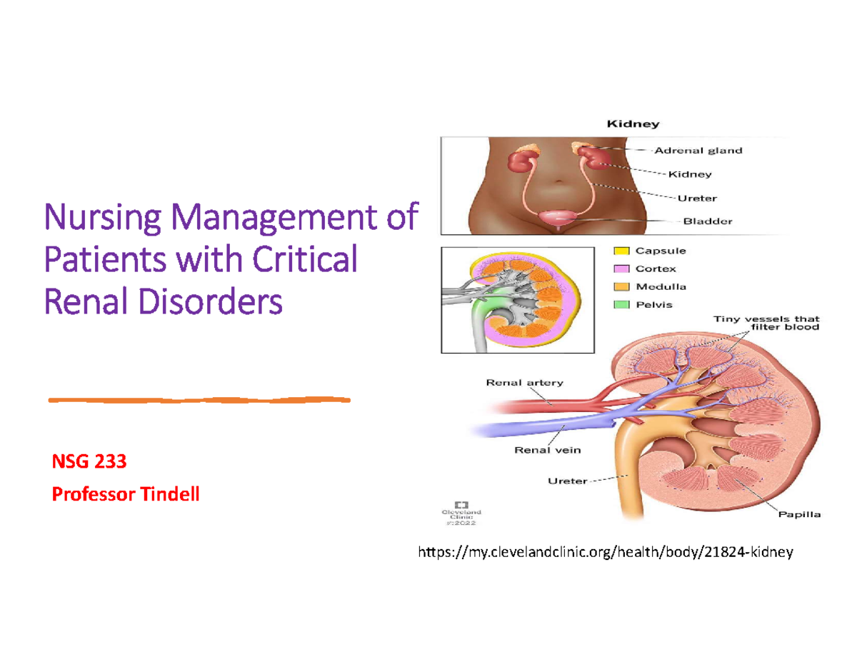 Student PPs Module 9 - Renal - Nursing Management of Patients with ...