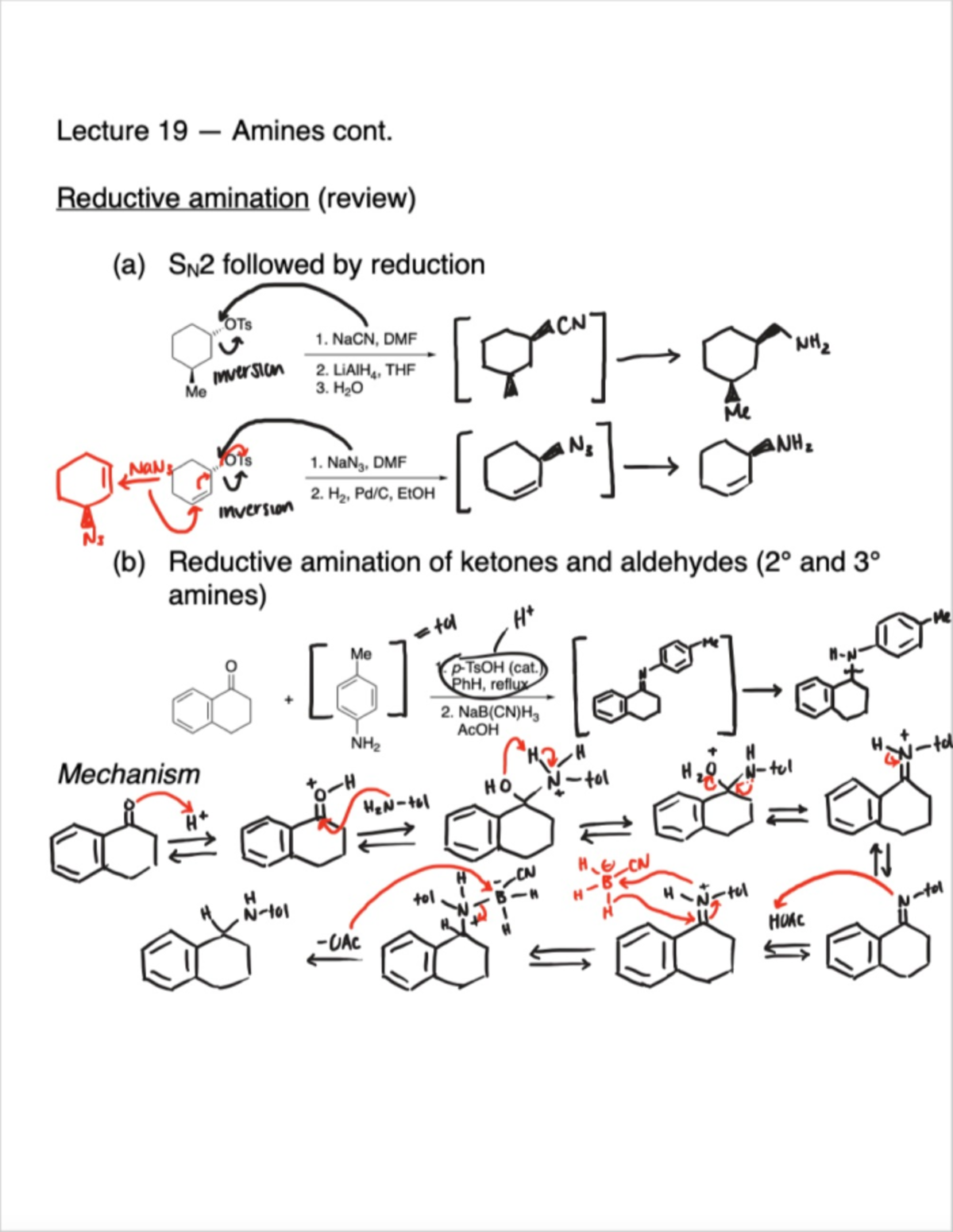 Chem 234 - lecture 19 - CHEM 234 - Studocu