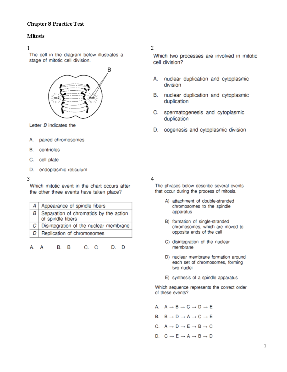 CELL Practice TEST - Chapter 8 Practice Test Mitosis 1 2 3 4 Meiosis 1 ...
