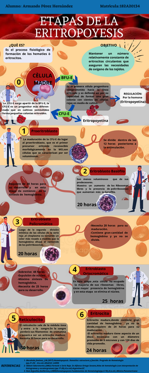 Cuadro Comparativo Leucemias - TIPO DE LEUCEMIA CLASIFICACI”N DEFINICI ...