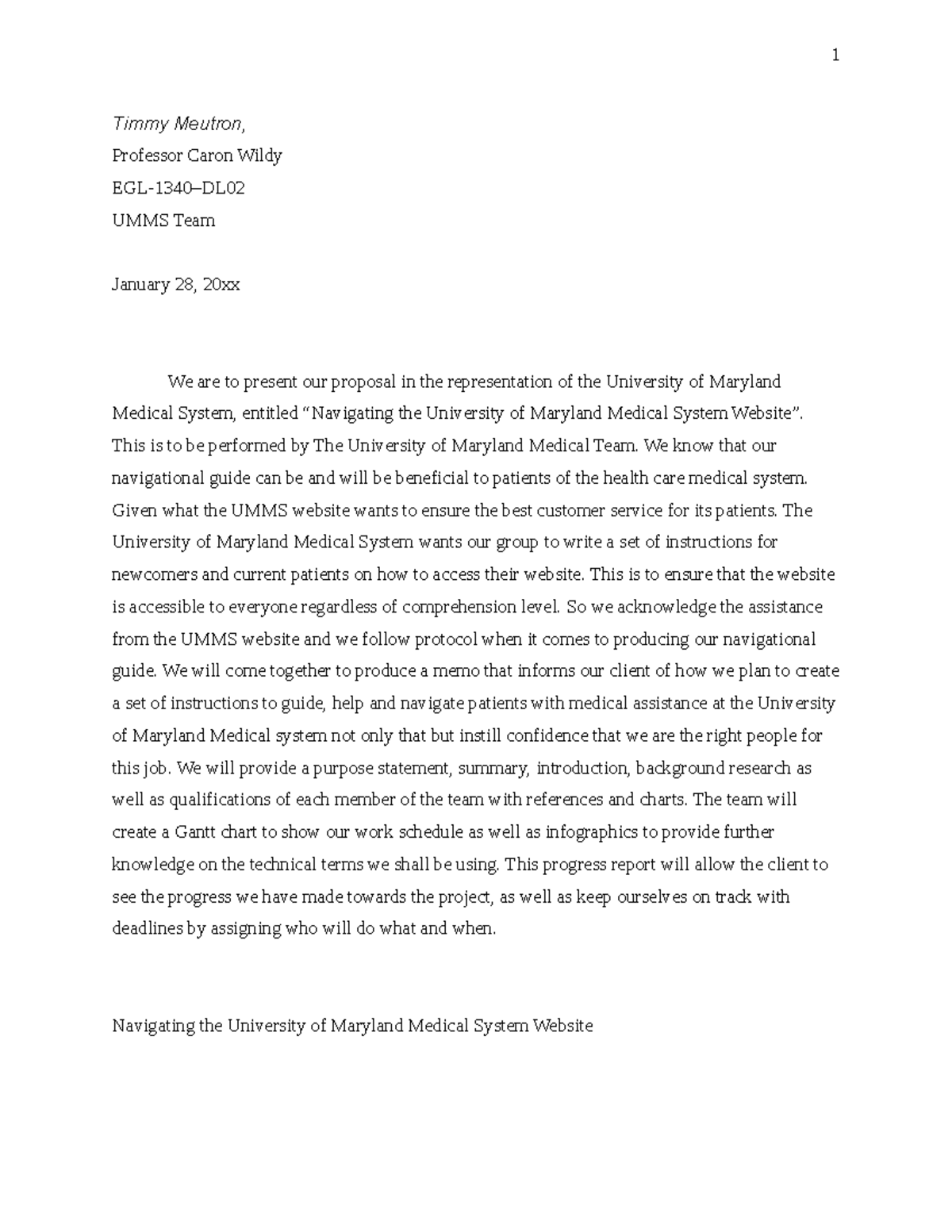 Recommendation Report Final - Timmy Meutron, Professor Caron Wildy EGL ...