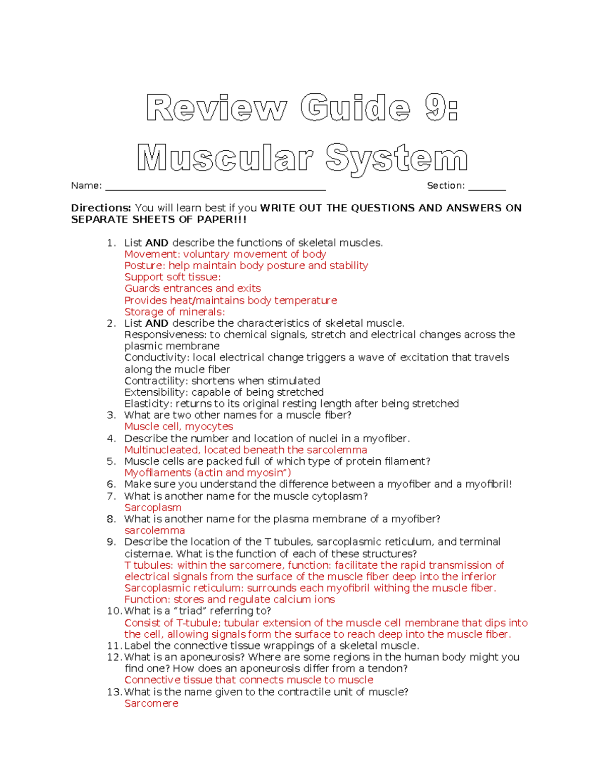 9 Muscular System Review Guide Stock 2021 - Name