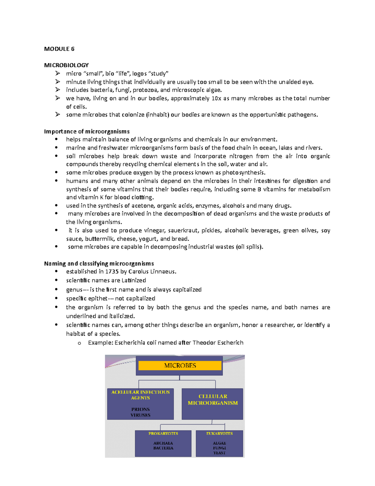 Microbio - notes - MODULE 6 MICROBIOLOGY micro “small”, bio “life ...