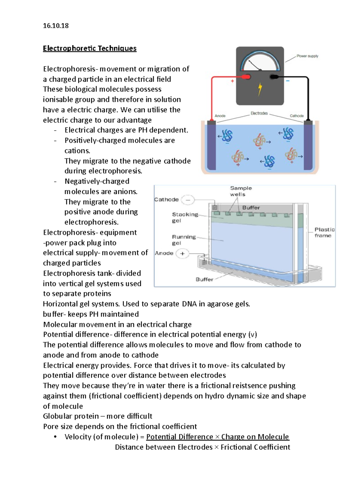 Electrophoretic Techniques - Electrophoretic Techniques Electrophoresis ...