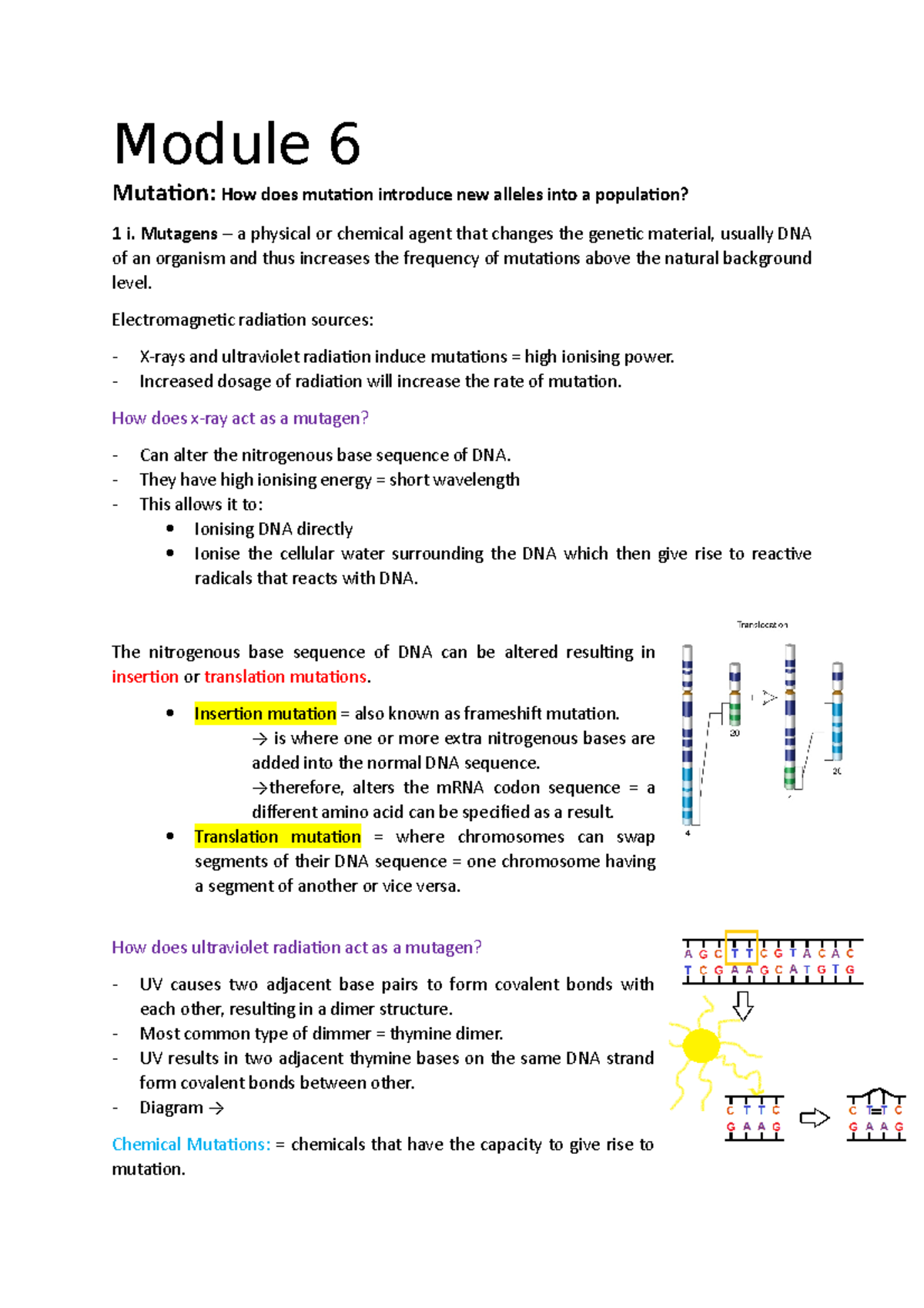 Module 6 - year 12 summary notes - Module 6 Mutation: How does mutation ...